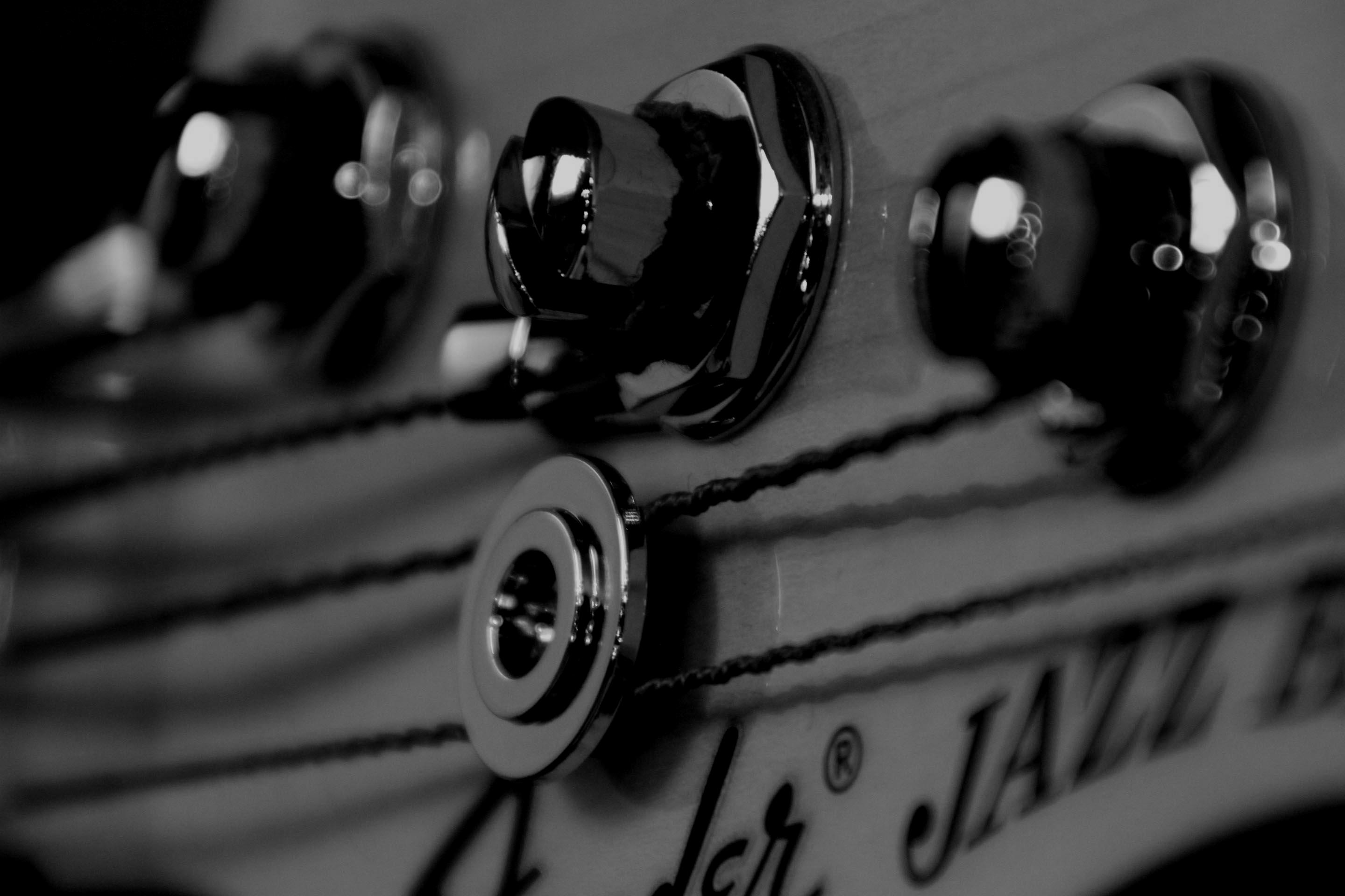 How Much Is That Bass In the Window? - David Delbridge