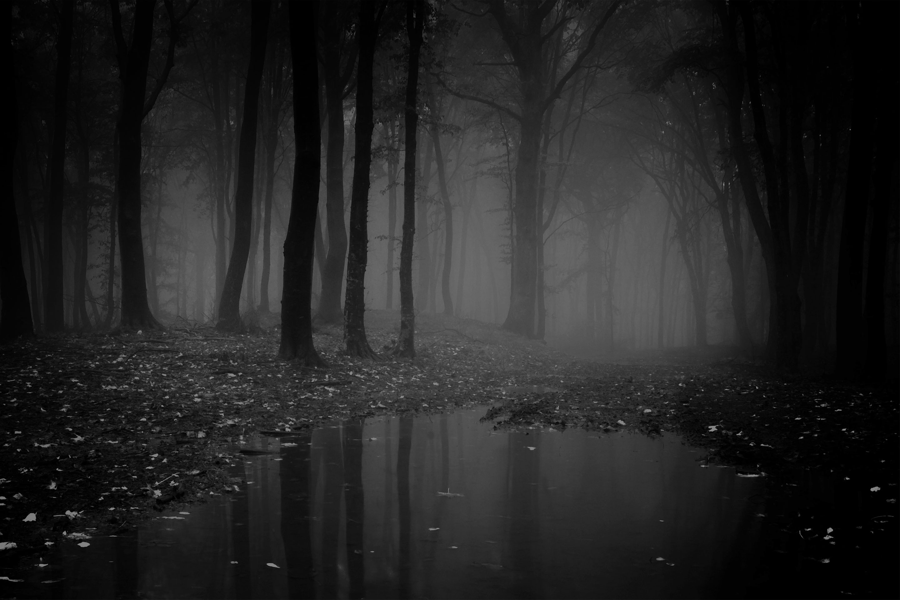 The Mystery of the Haunted Recording Studio - David Delbridge