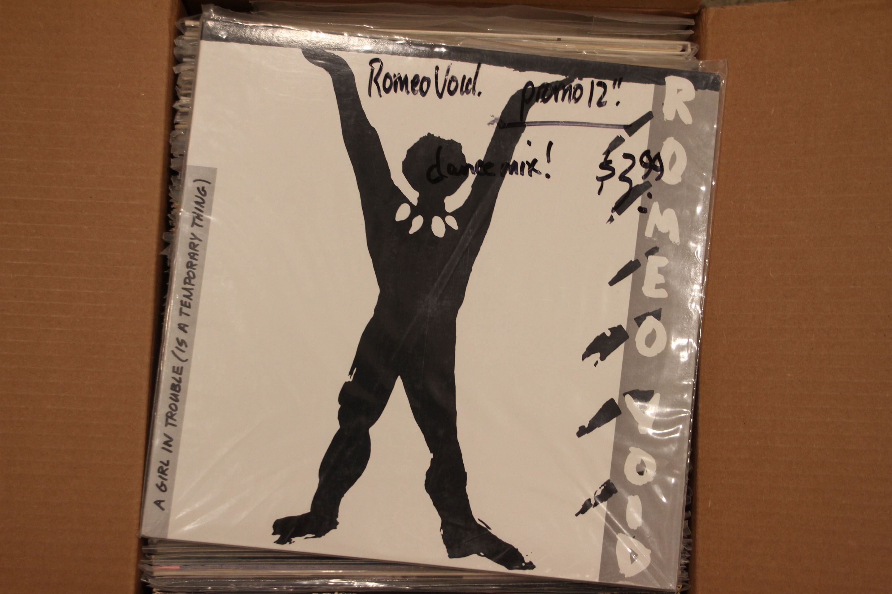 IMG_1951 - David Delbridge