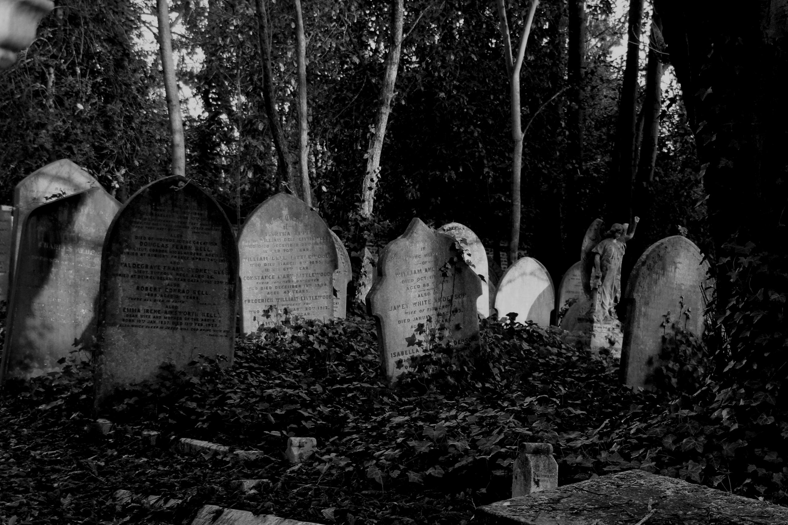 London Calling - Gothic Songwriting in the Swinging City - David Delbridge